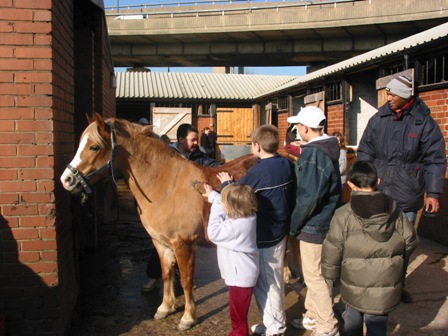 West London Stables | White City | Townfish